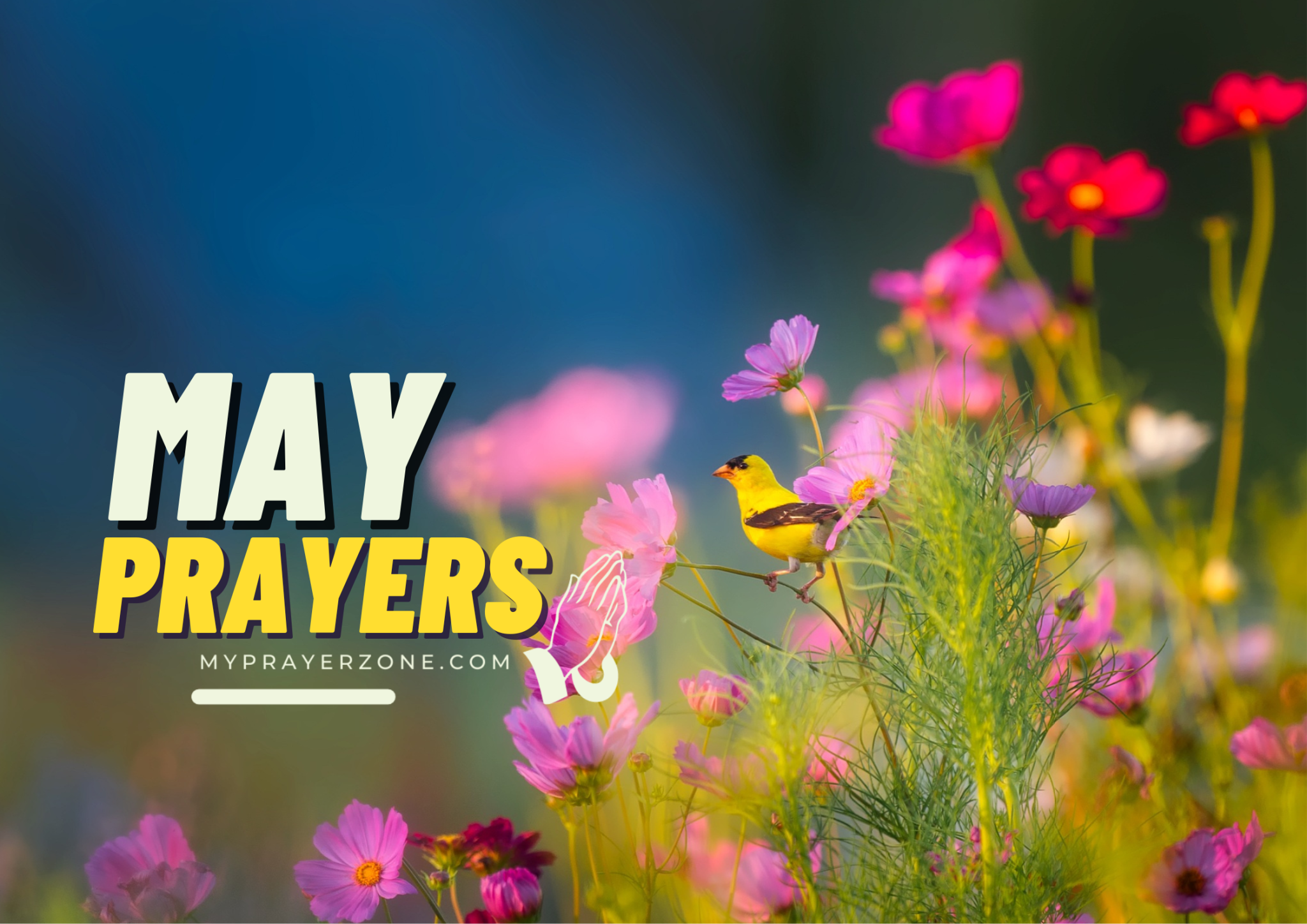PRAYER POINTS FOR THE MONTH OF MAY 2026